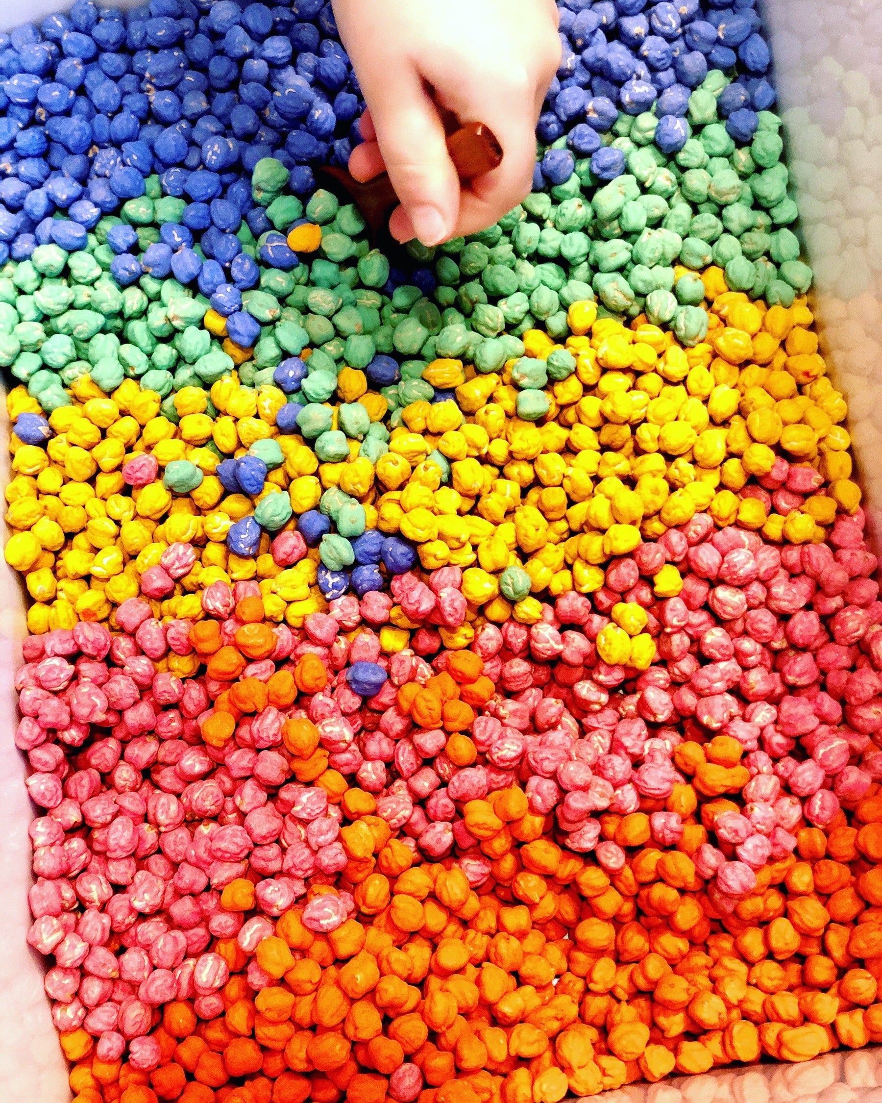 Colored Chick Peas · Young + Wild and Friedman