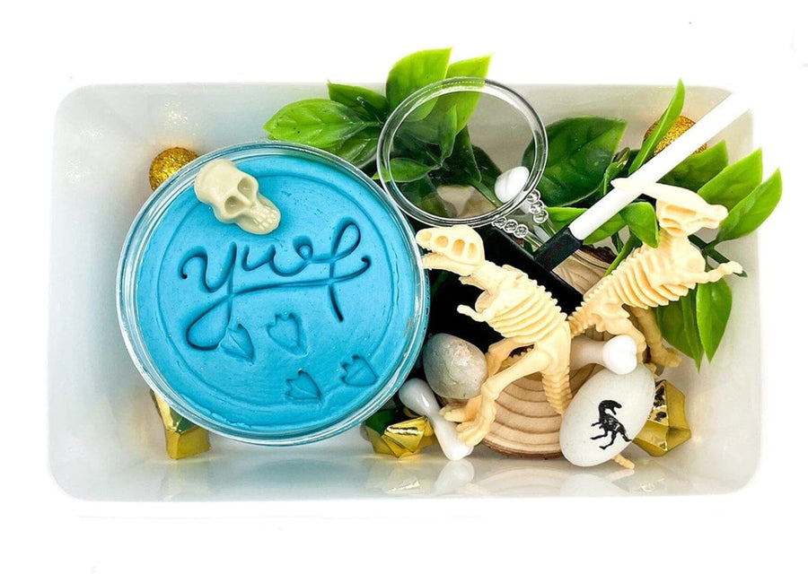 Mini Kits · Young + Wild and Friedman