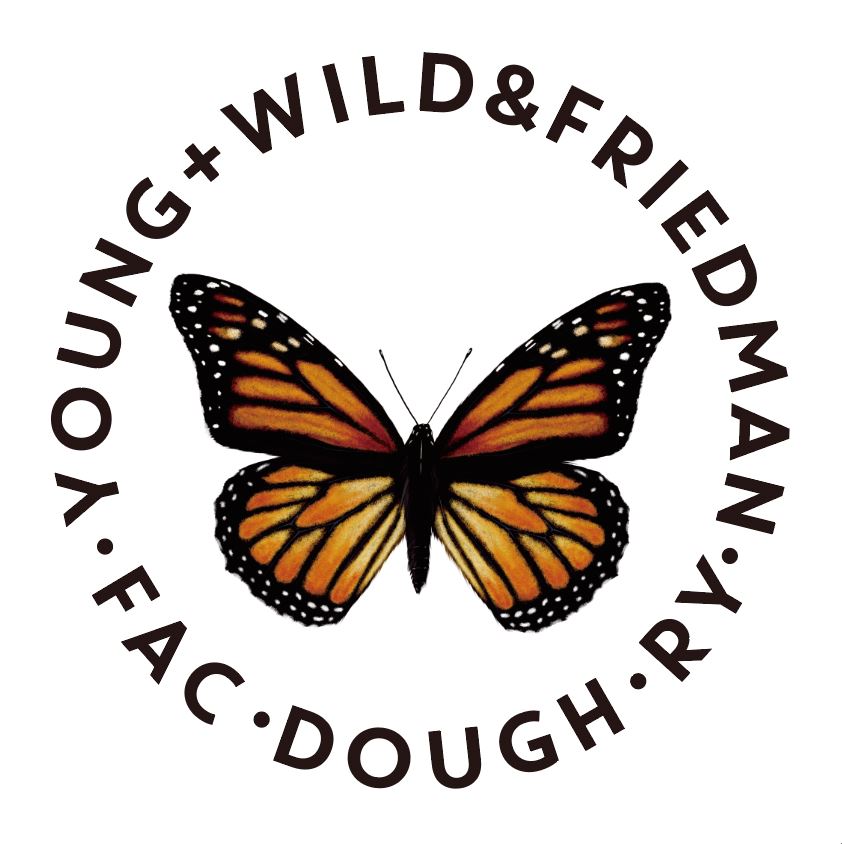 Butterfly Life Cycle Kit Curriculum | Young + Wild and Friedman